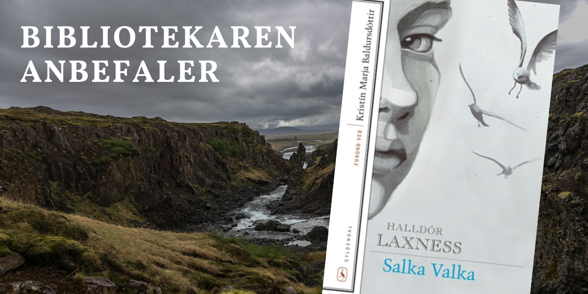 Biblioteket anbefaler: Salka Valka - AmagerNyt